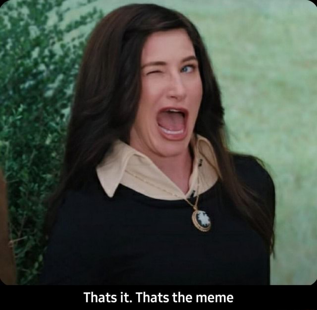 Thats it. Thats the meme - Thats it. Thats the meme - iFunny