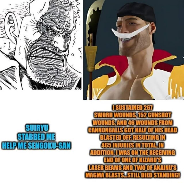 SWORD GUNSHOT, WOUNDS' AND 46 WOUNDS FROM CANNONBALLS GOT! HALE OF HISI ...