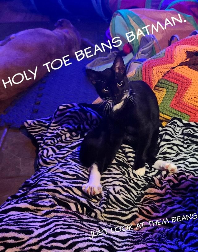 Yet Look AT Ten BEANS - iFunny