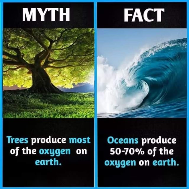 MYTH FACT Trees produce most of the oxygen on earth. Oceans produce of ...