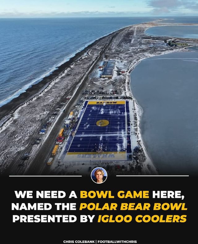 WE NEED A BOWL GAME HERE, NAMED THE POLAR BEAR BOWL PRESENTED BY IGLOO ...
