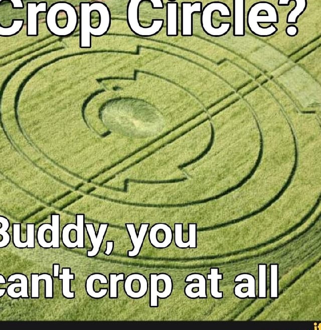 ~fop Uircie? 3uddy, you 'an't crop at all - iFunny