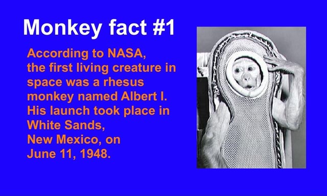 Monkey fact #1 According to NASA, the first living creature in space ...