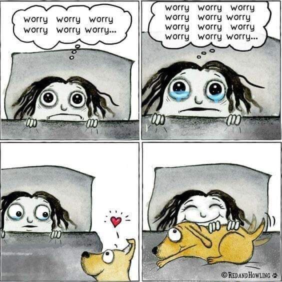 Worry worry worry worry worry worry... worry worry worry worry worry ...