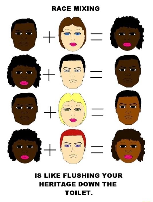 RACE MIXING II IS LIKE FLUSHING YOUR HERITAGE DOWN THE TOILET. - iFunny