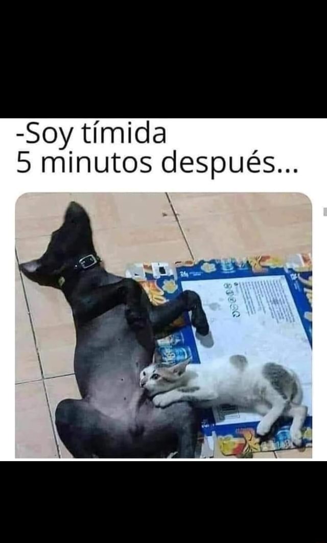 -Soy tímida 5 minutos después... - )