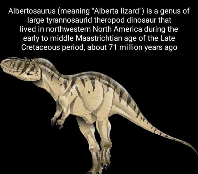 Albertosaurus (meaning "Alberta lizard") is a genus of large ...