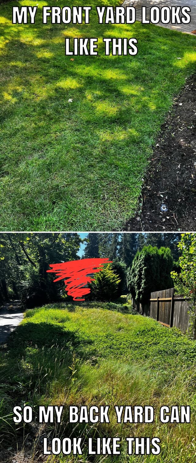 MY FRONT YARD LOOKS LIKE THIS SO MY BACK YARD CAN LOOK LIKE THIS - iFunny
