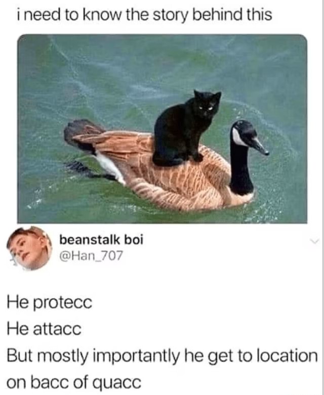 Need to know the story behind this beanstalk boi @Han He protecc He ...