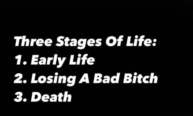 Three Stages Of Life: 1. Early Life 2. Losing A Bad Bitch 3. Death - iFunny