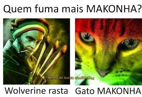 Quem fuma mais MAKONHA? Wolverine rasta Gato MAKONHA - iFunny Brazil