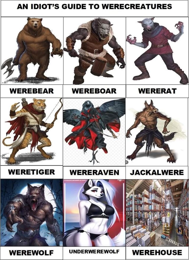 AN IDIOT'S GUIDE TO WERECREATURES WEREBOAR WERERAT I WERERAVEN I ...