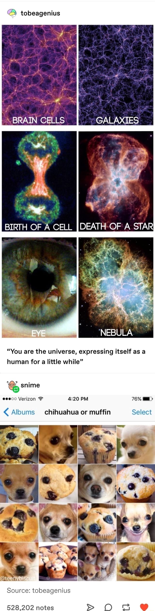 @ tobeagenius BRAIN CELLS GALAXIES BIRTH OF A CELL JDEATH OF A STAR ...