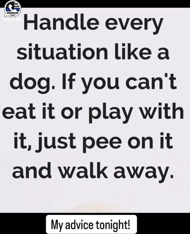 Hub Handle every situation like a dog. If you can't eat it or play with ...
