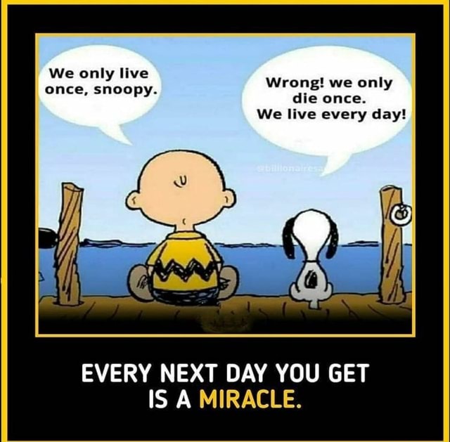 We Only Live Once Snoopy Wrong We Only Die Once We Live Every Day Every Next Day You Get Is