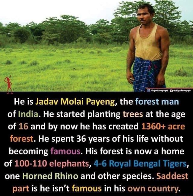 He is Jadav Molai Payeng, the forest man of India. He started planting ...