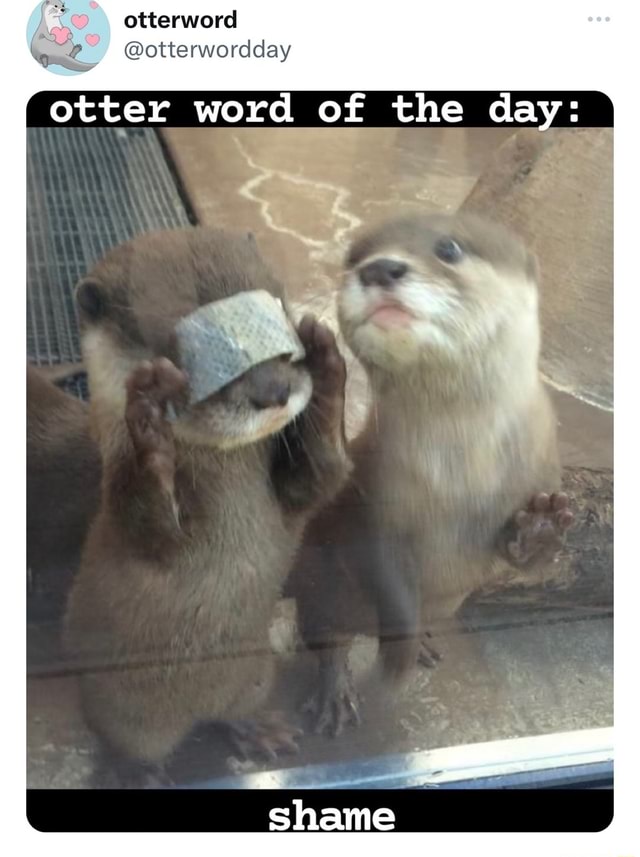 Otterword @otterwordday otter word of the day: - )