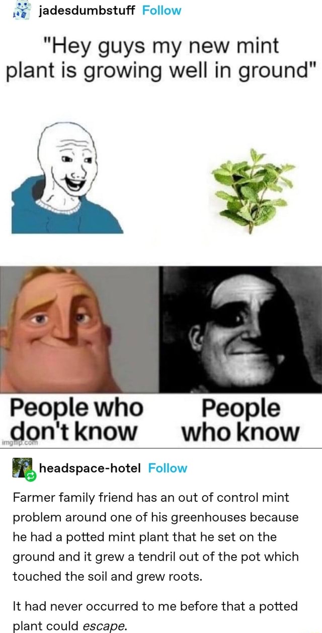 Jadesdumbstuff Follow "Hey guys my new mint plant is growing well in ground" People who People ...