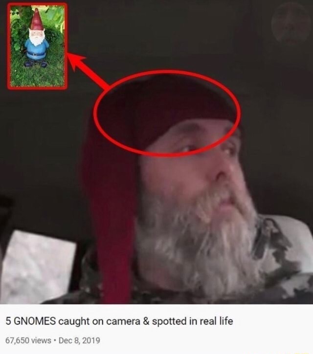 5 GNOMES caught on camera & spotted in real life 650 views De 201 - iFunny