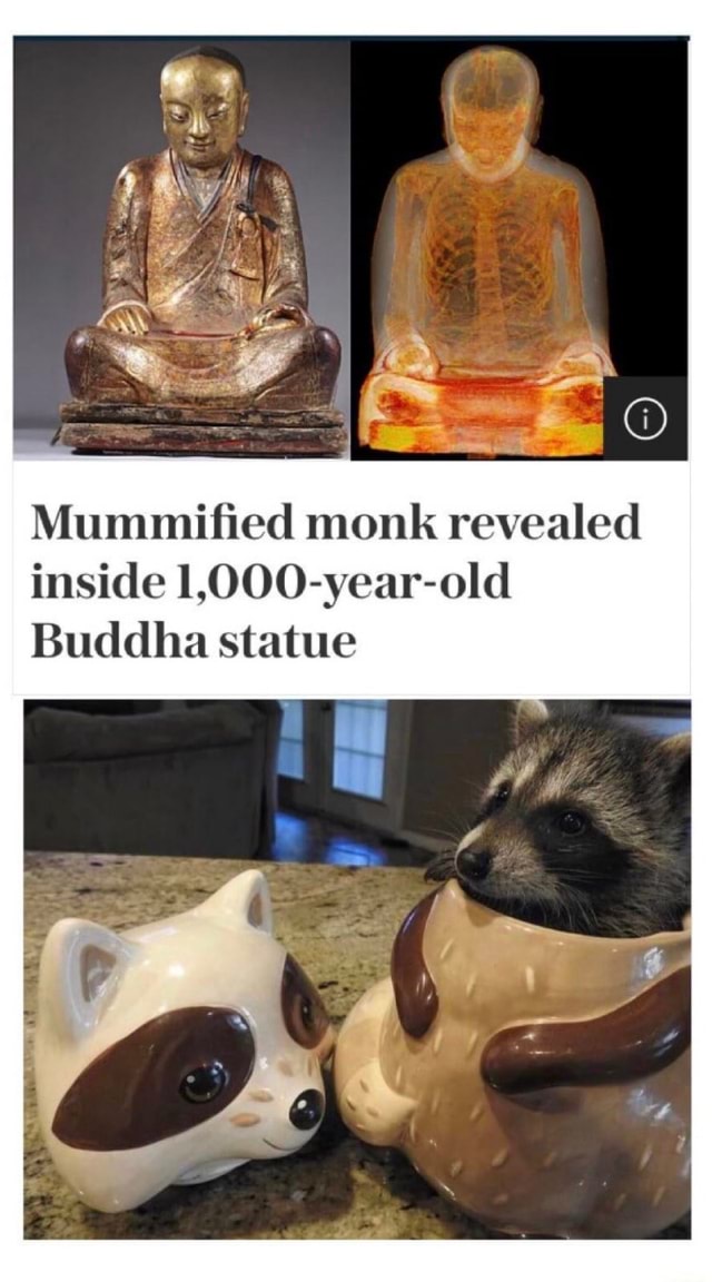 Mummified monk revealed inside 1,000-year-old Buddha statue - iFunny