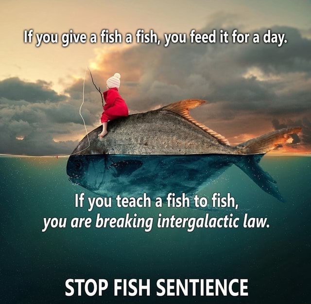 If you give a fish a fish, you feed it for a day. If you teach a fish ...