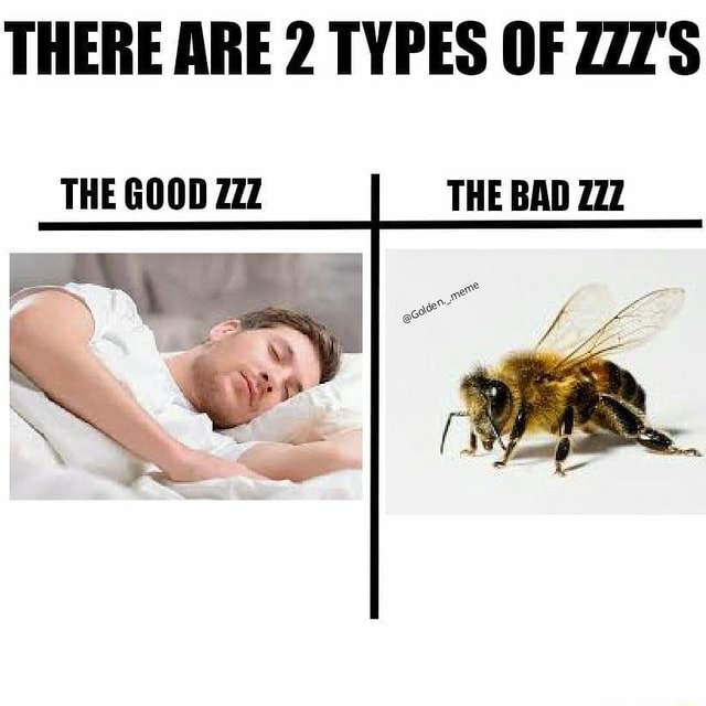 THERE ARE 2 TYPES OF ZZ7'S THE GOOD THE BAD ZZZ - iFunny