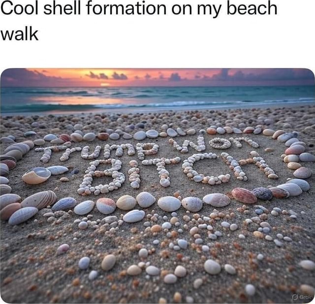 Cool shell formation on my beach SA walk - iFunny