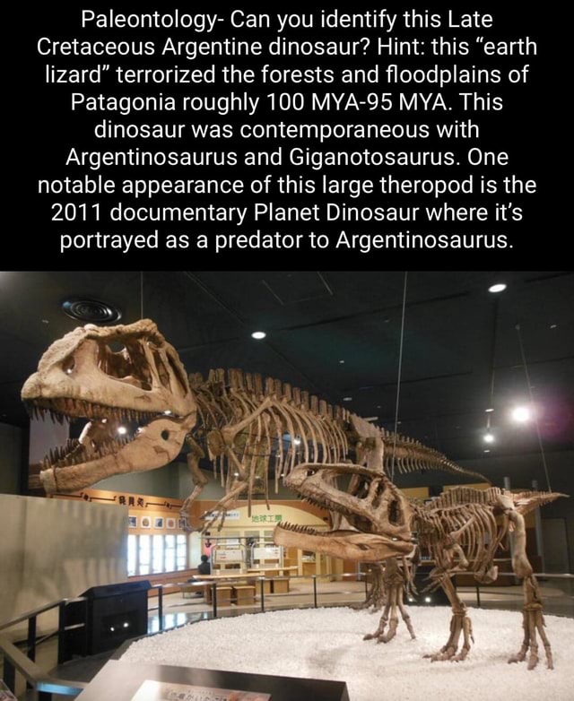 Paleontology- Can you identify this Late Cretaceous Argentine dinosaur ...