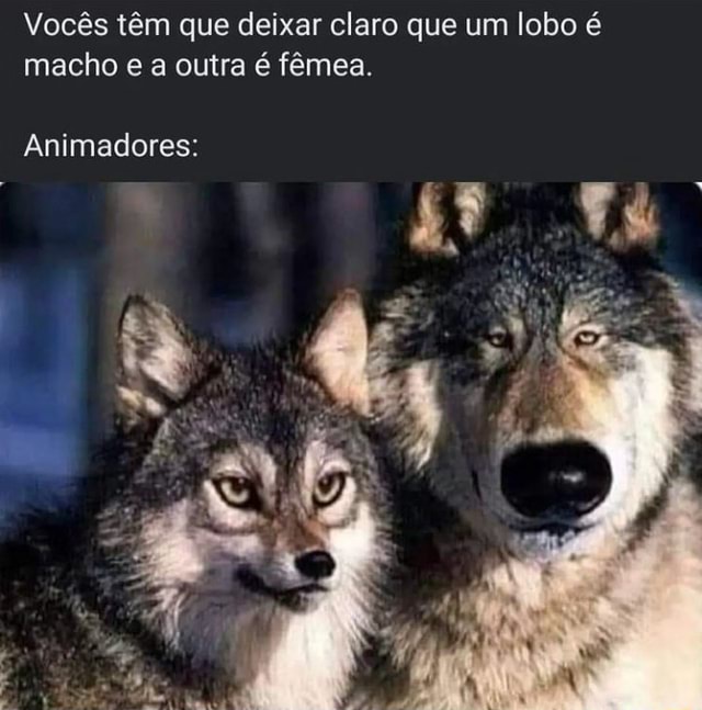 Memes de imagem U5lDxlju9 por entire_zSenshi_Sama: 89 comentários - )