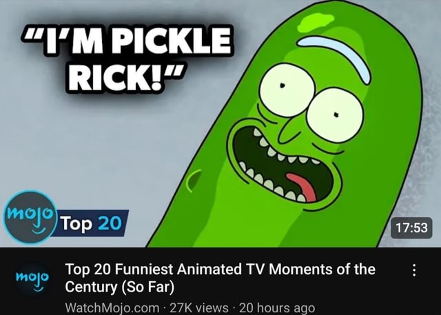 PICKLE RICK!" Top Top 20 Funniest Animated TV Moments of the Century ...