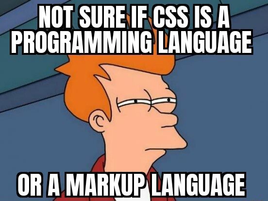 NOT SURE IF CSS IS A PROGRAMMING LANGUAGE ORARRUIID. ANRIARE - iFunny