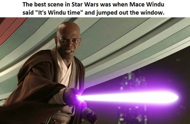 The best scene in Star Wars was when Mace Windu said "It's Windu time" and jumped out the window ...