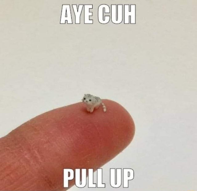 AYE CUH PULL UP - iFunny