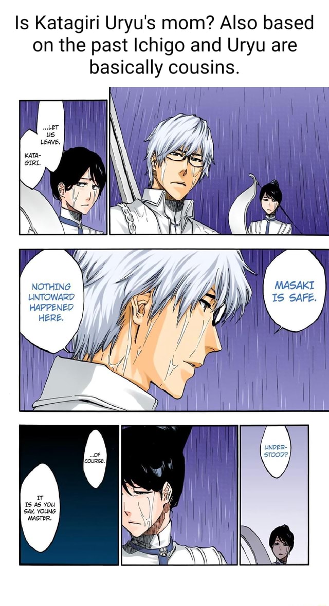 Is Katagiri Uryu's mom? Also based on the past Ichigo and Uryu are ...