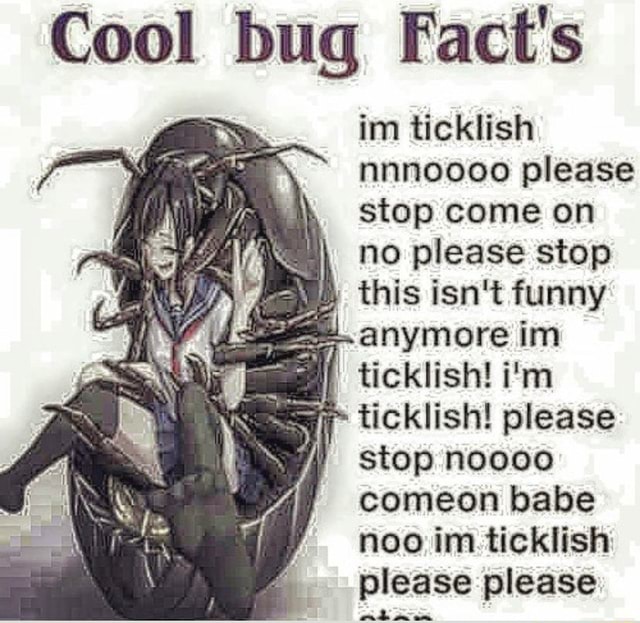 Cool bug Fact's im ticklish nnnoooo please stop come on no please stop ... Cool bug Fact's im ticklish nnnoooo please stop come on no please stop ...