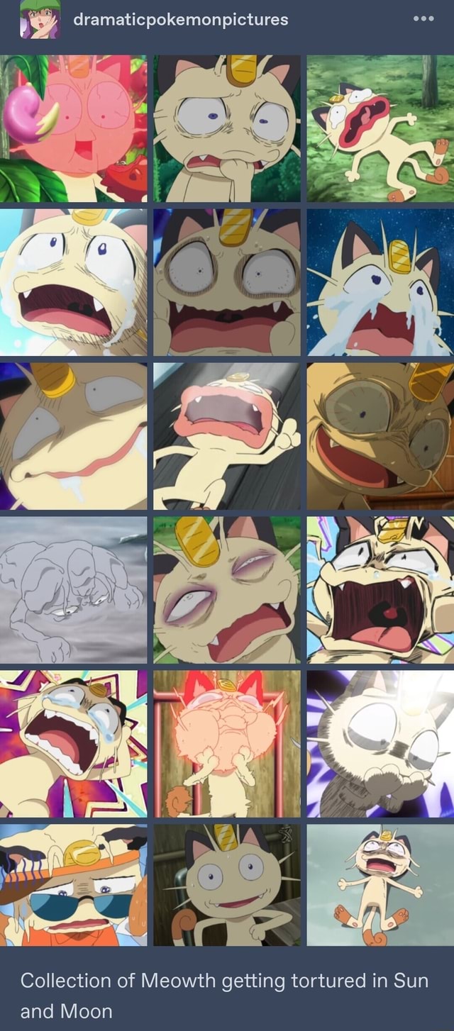 Dramaticpokemonpictures Collection of Meowth getting tortured in Sun ...