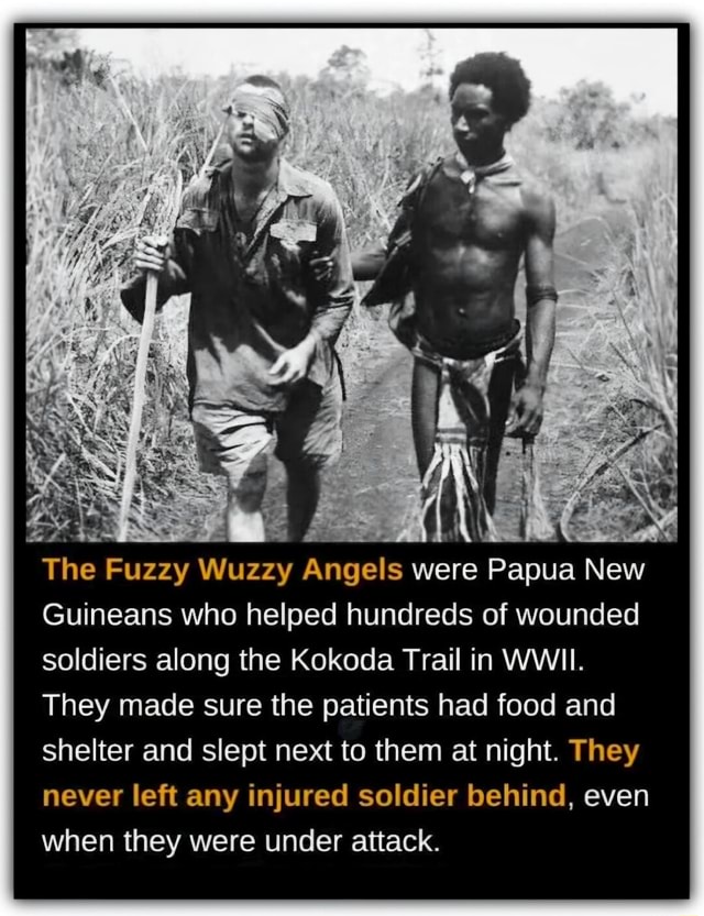 The Fuzzy Wuzzy Angels were Papua New Guineans who helped hundreds of ...