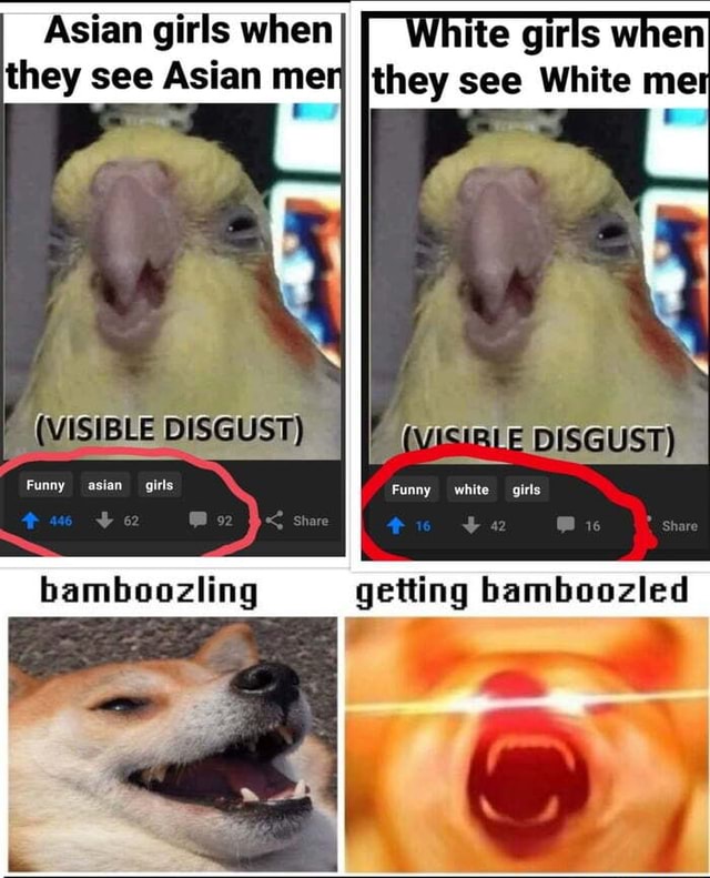 Asian oirls when see Asian (VISIBLE DISGUST) Funny asian girls bamboozling they see White me ...