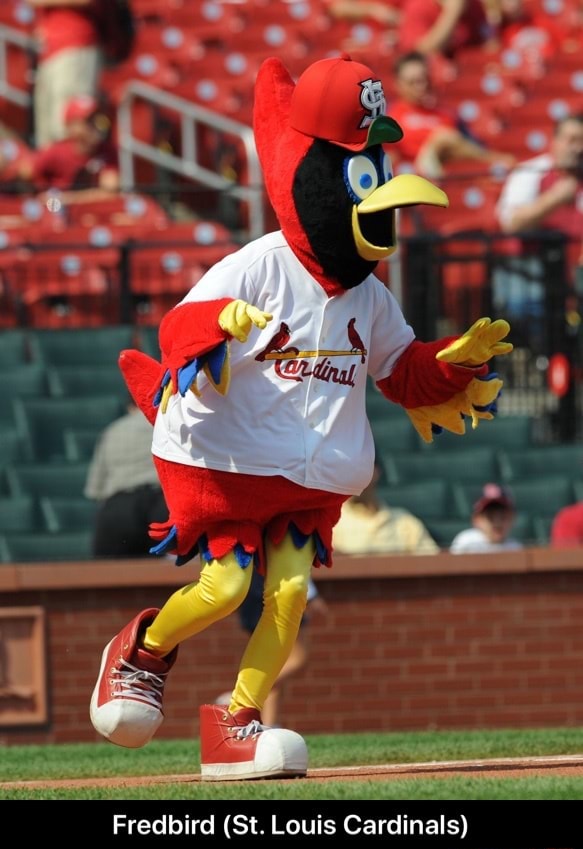 Fredbird (St. Louis Cardinals) - Fredbird (St. Louis Cardinals) - iFunny