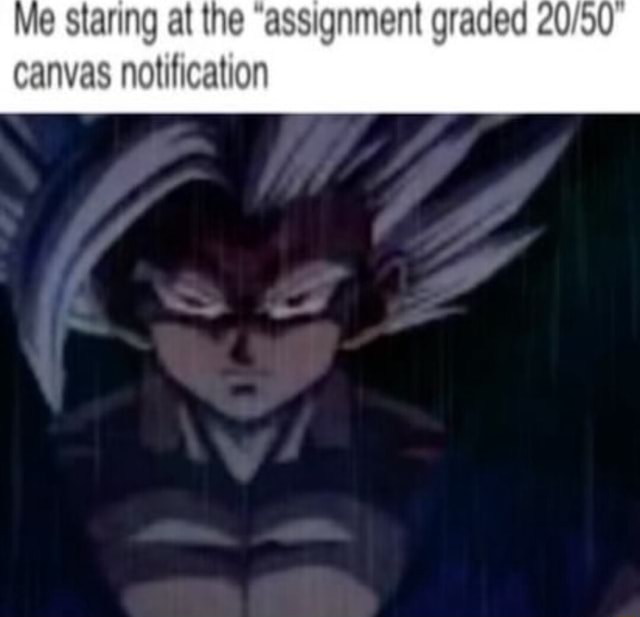 Me staring at the "assignment graded SS) canvas notification - iFunny