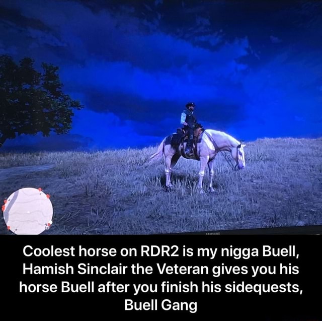 Coolest horse on RDR2 is my nigga Buell, Hamish Sinclair the Veteran ...