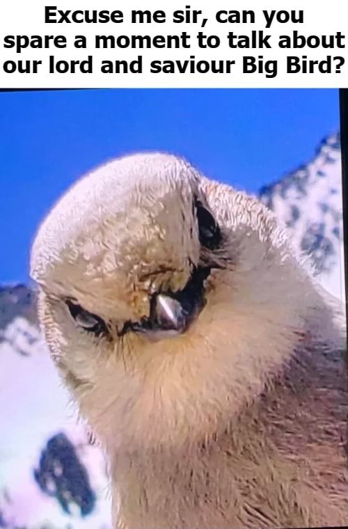 Excuse me sir, can you spare a moment to talk about our lord and ...