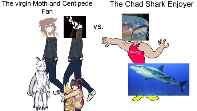 The virgin Moth and Centipede The Chad Shark Enjoyer Fan - iFunny