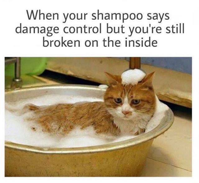 When your shampoo says damage control but you're still broken on the ...