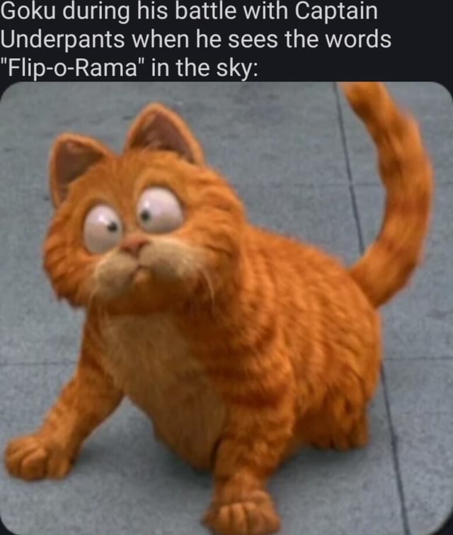 Goku during his battle with Captain Underpants when he sees the words ...