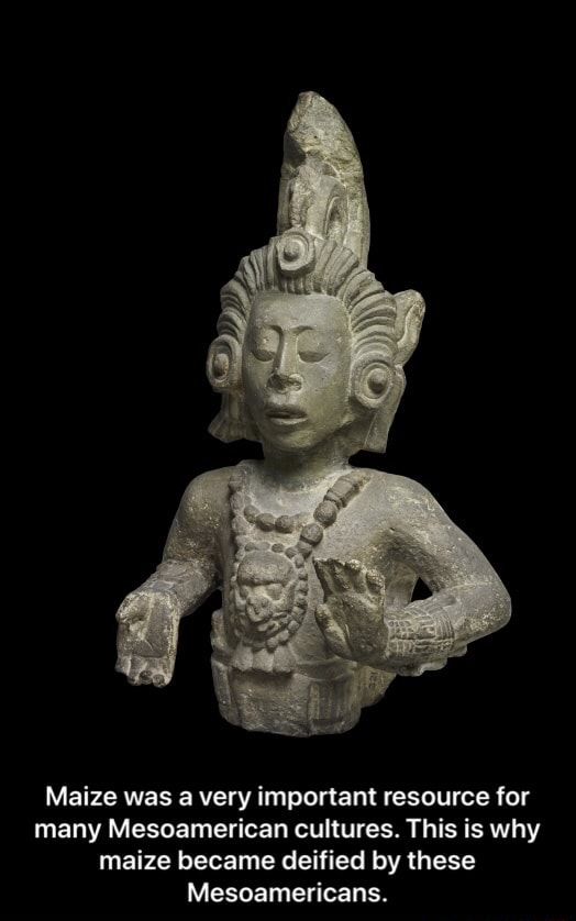 Maize was a very important resource for many Mesoamerican cultures ...