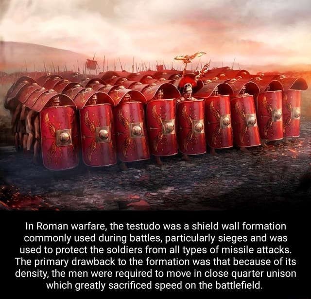 In Roman warfare, the testudo was a shield wall formation commonly used ...