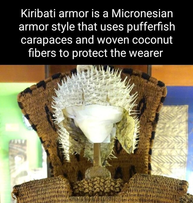 Kiribati armor is a Micronesian armor style that uses pufferfish ...