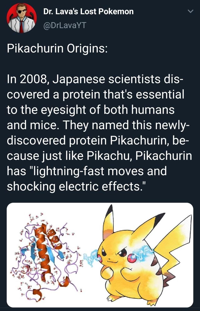 Dr. Lava's Lost Pokemon A Pikachurin Origins: In 2008, Japanese ...