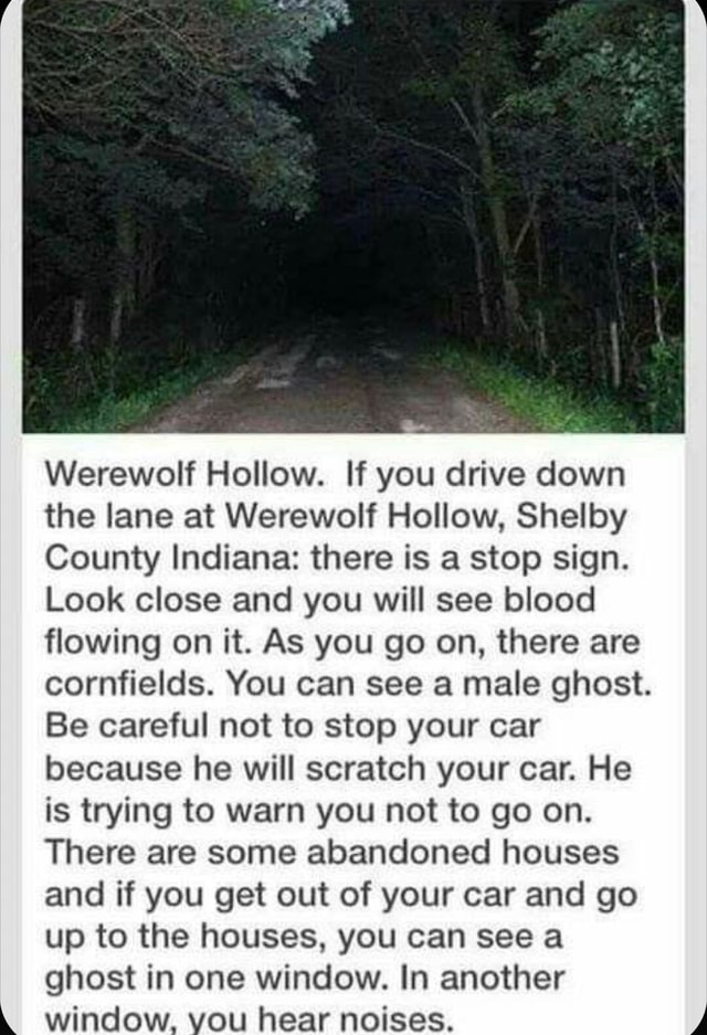 Werewolf Hollow. If you drive down the lane at Werewolf Hollow, Shelby ...